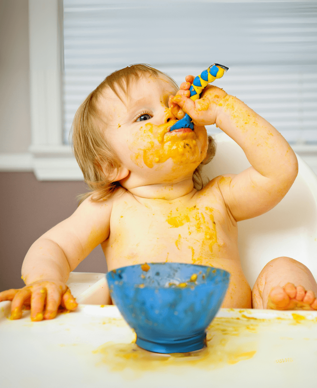 Must have Feeding Essentials for Mess-Free Mealtime – Happy Coo